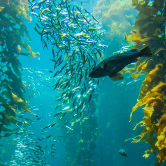 The Best of Project Drawdown in 2025