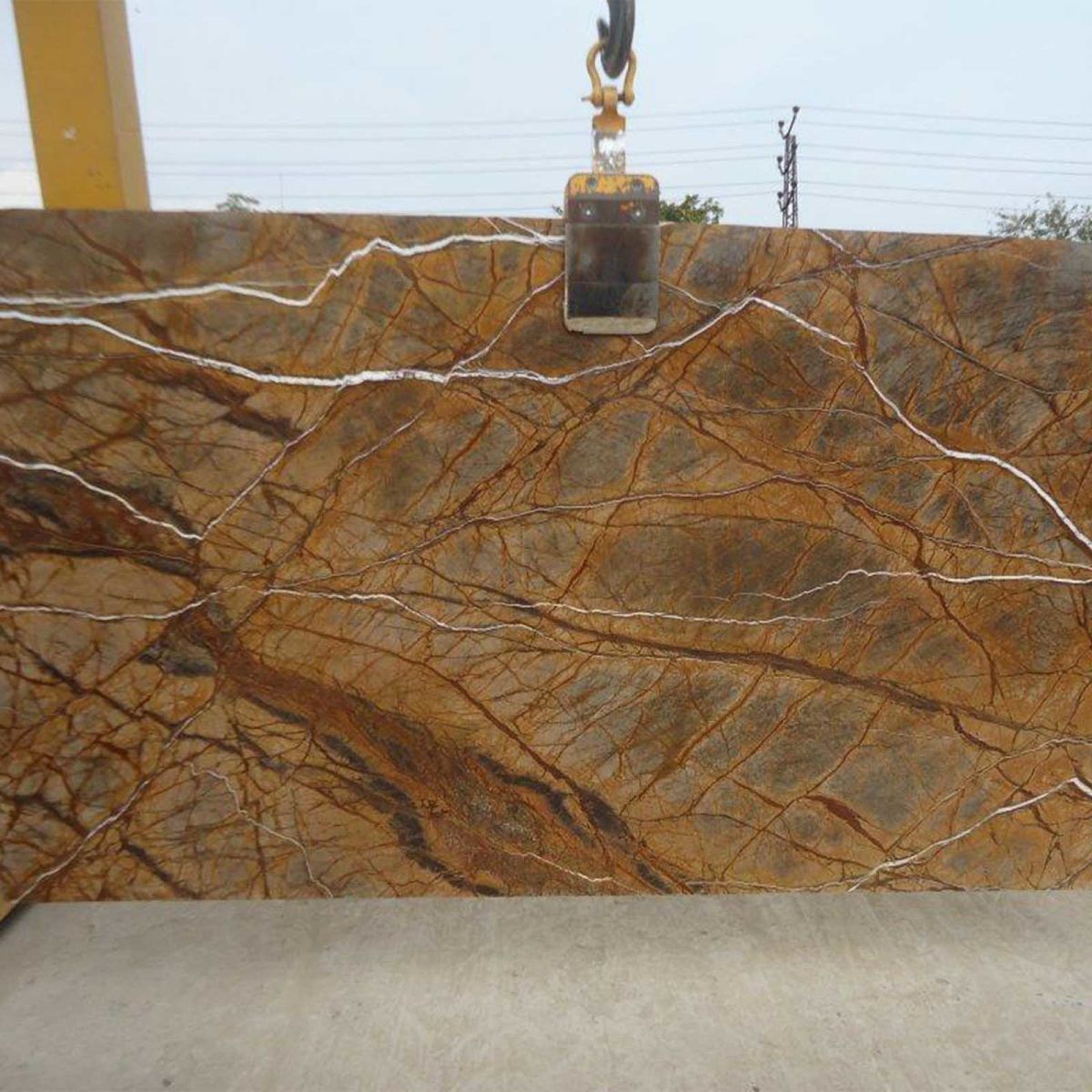 Rainforest Brown Marble from Certified Supplier, Exporter, & Manufacturer