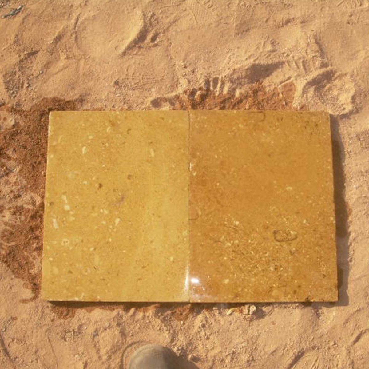 Asian Gold Sandstone from Certified Exporter, Supplier & Manufacturer