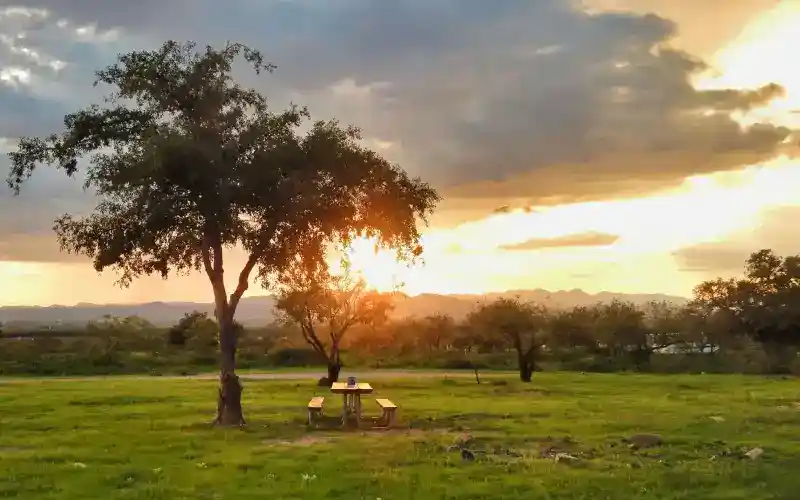 Seven Arrows Recovery: Insurance, Reviews & Testimonials (Elfrida, Arizona)