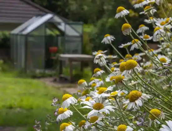 Turning Point - Stanfield House: Treatment Options, Amenities & Photos ...