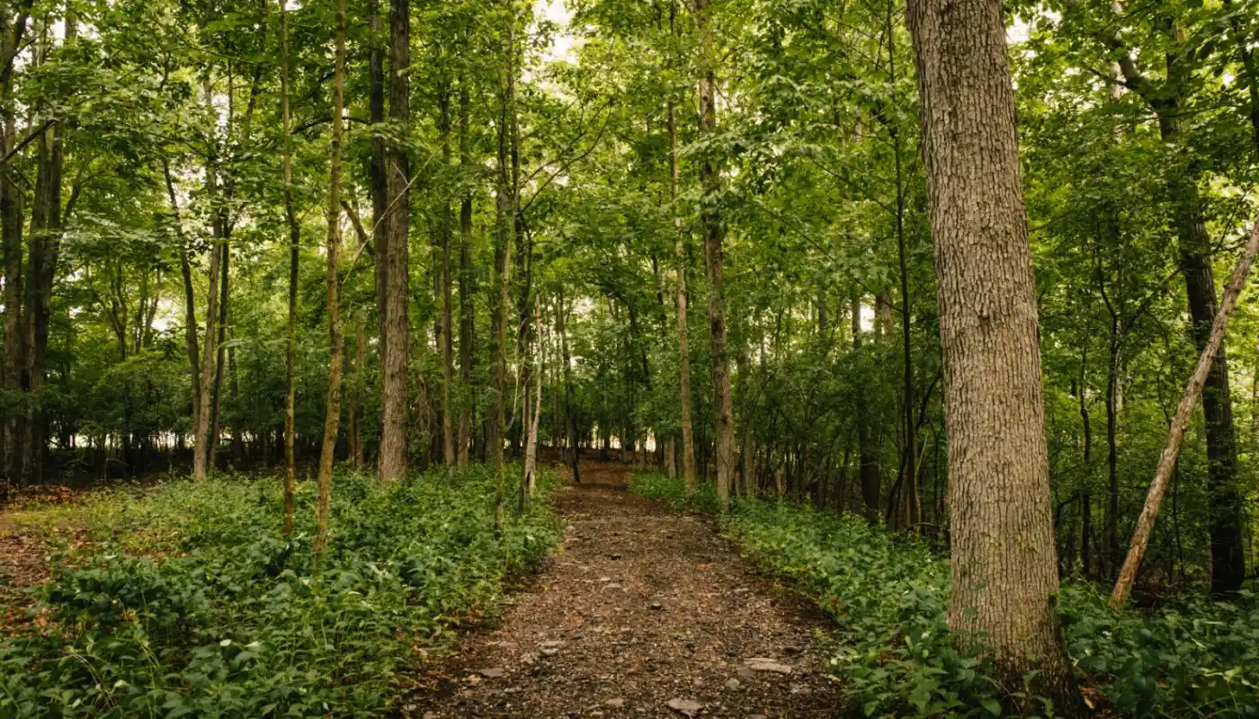 Rose Hill Center: Treatment Options, Amenities & Photos (Holly, Michigan)