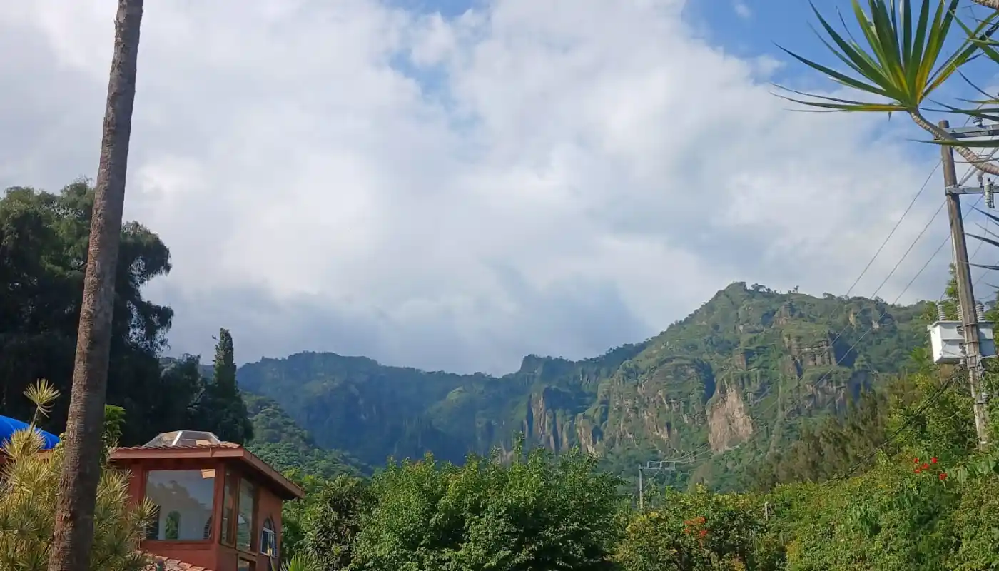 IbogaQuest: Pricing, Specializations & Photos (Tepoztlán, Morelos)