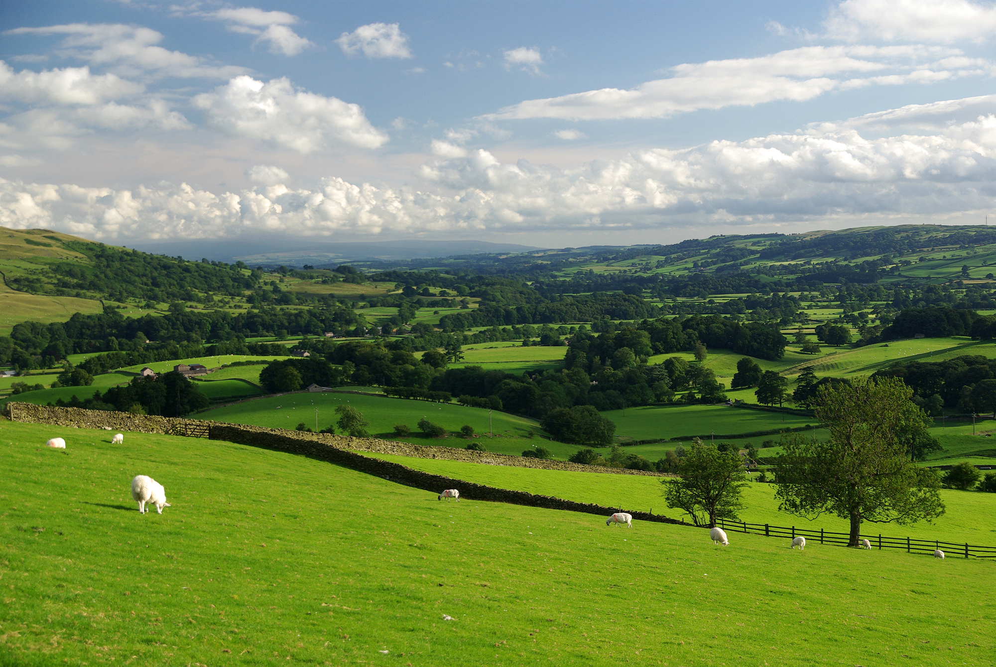 50 Best England Depression & Mental Health Treatment Centres