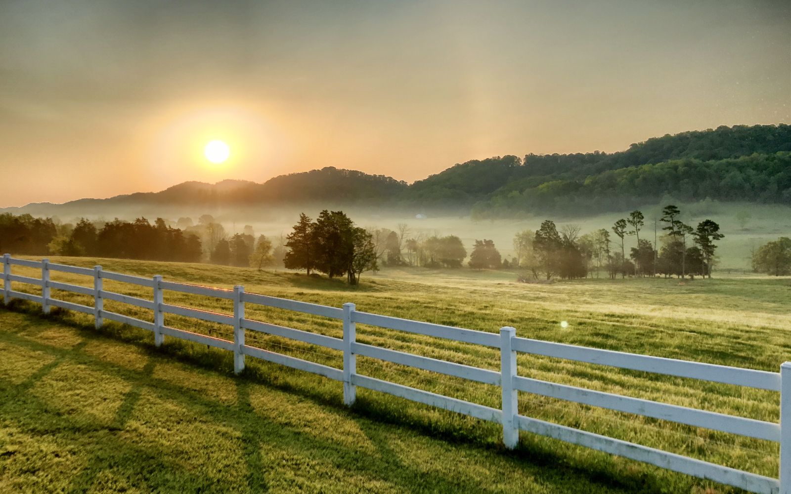 50 Best Drug & Alcohol Rehab Centers in Tennessee 2025 (Insurance & Cost)