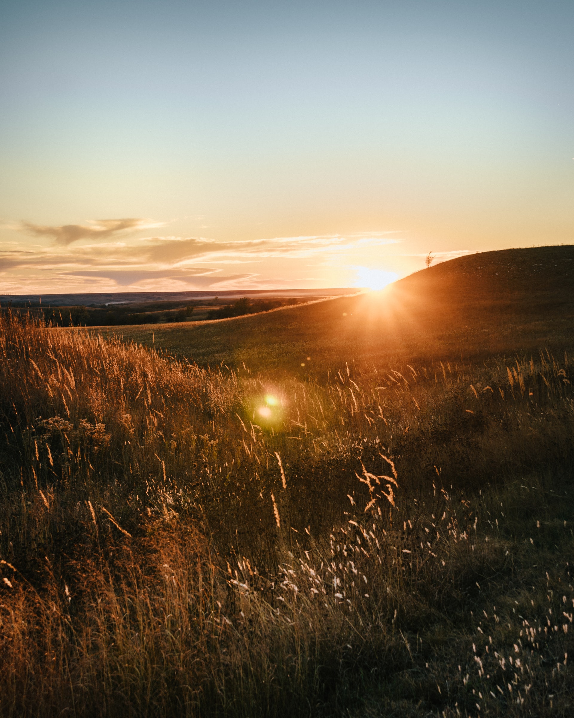 28 Best Intensive Outpatient Program in Kansas (With Pricing)