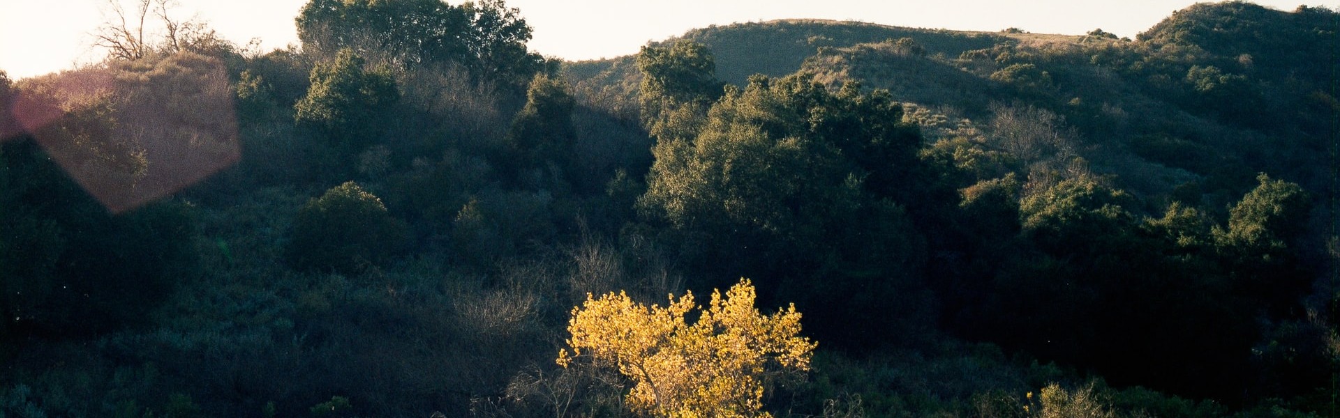 7 Best Woodland Hills Eating Disorders Rehabs (With Pricing)