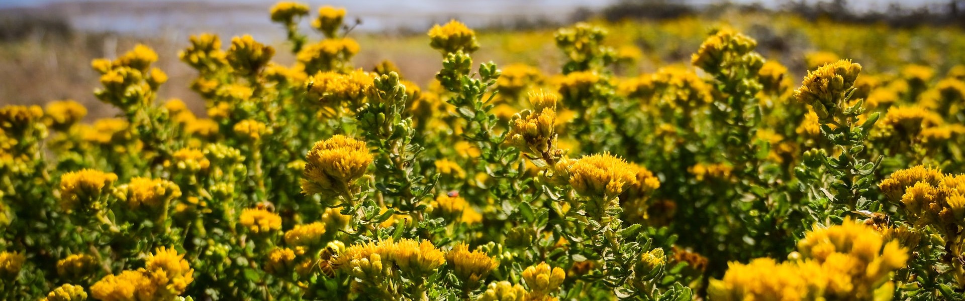 17 Best Drug & Alcohol Rehab Centers in Santa Rosa, CA 2025 (Insurance ...