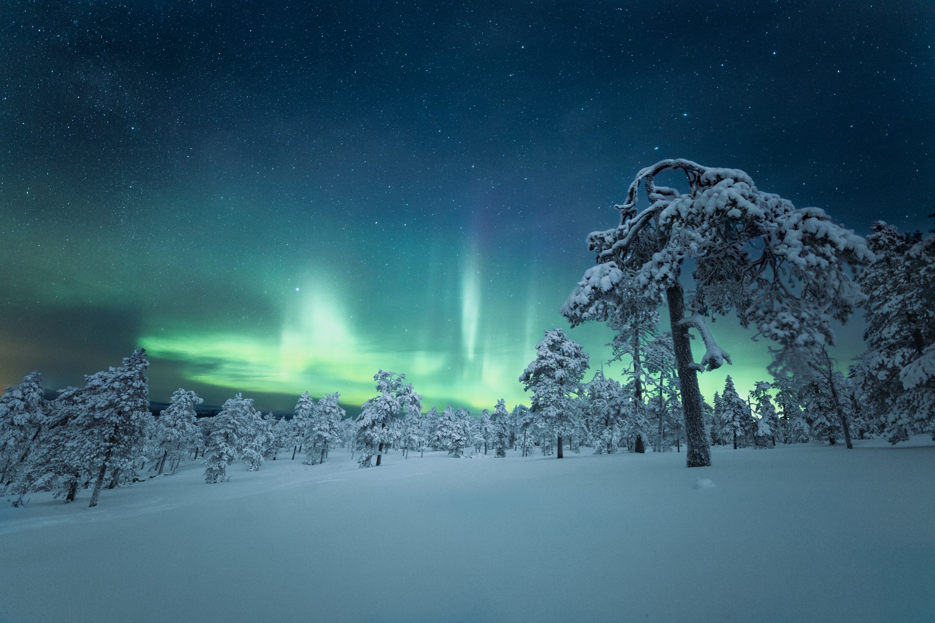 8 Best Drug & Alcohol Rehab Centers in Finland 2026 (With Pricing)