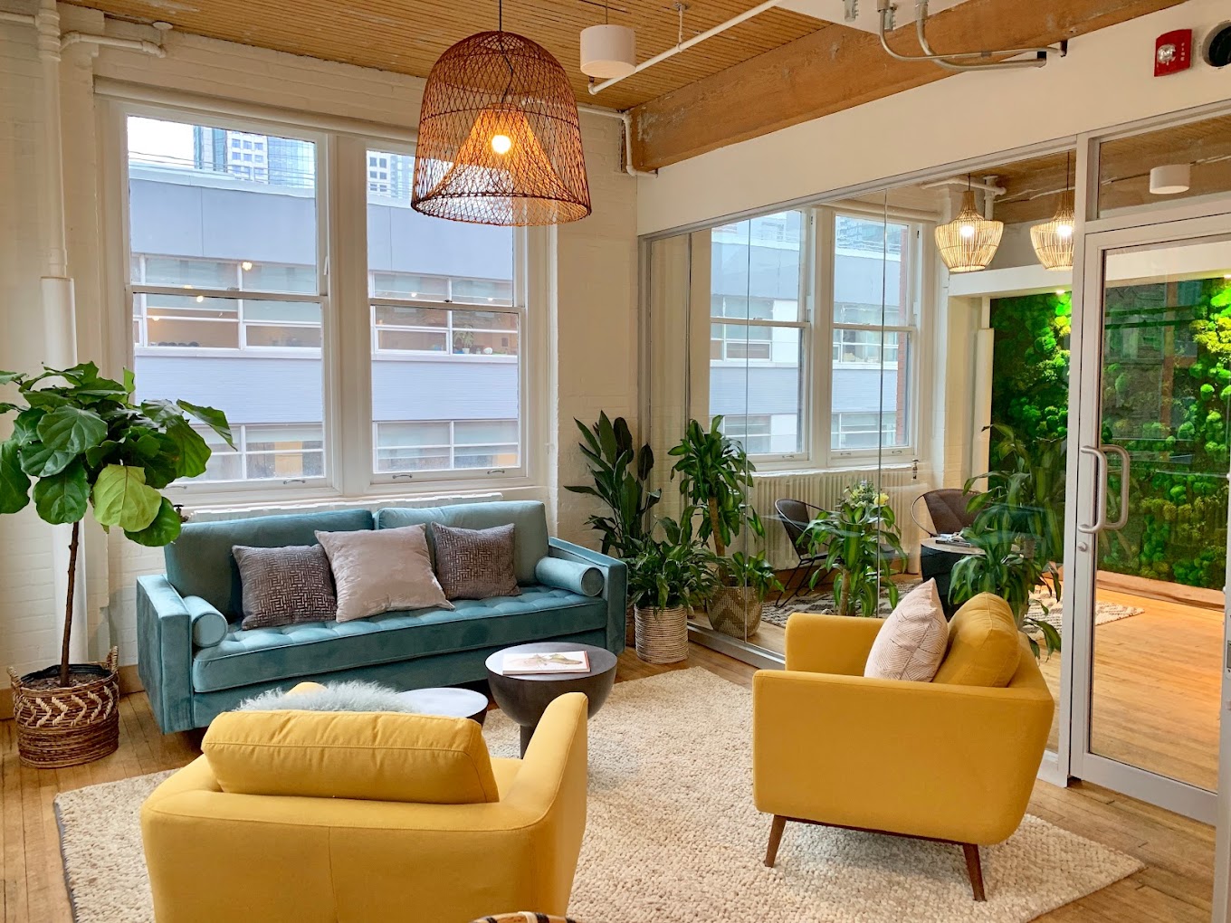 Field Trip Health Toronto: Pricing, Specializations & Photos (Toronto ...