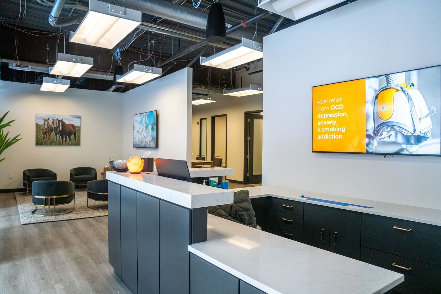 Plus by APN Boulder: Insurance, Amenities & Photos (Boulder, Colorado)