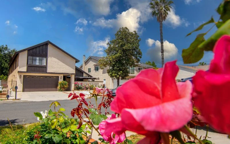 Maple Moon: Insurance, Reviews & Testimonials (Winnetka, California)