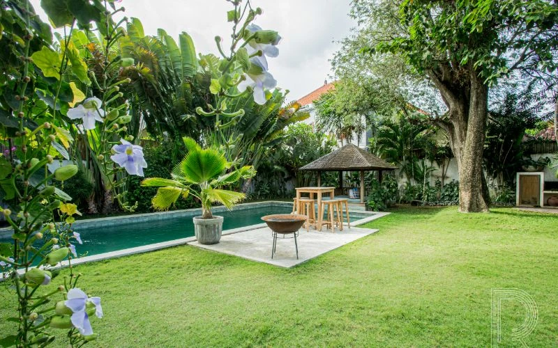 The Reset Bali: Pricing, Specializations & Photos (Bali, Indonesia)