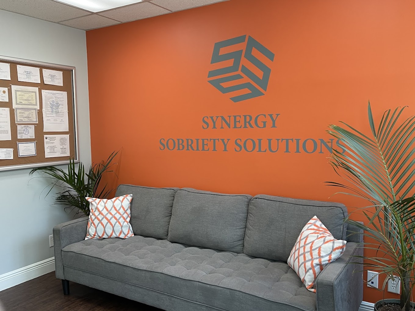 Synergy Sobriety Solutions: Insurance, Reviews, Testimonials (Palm ...