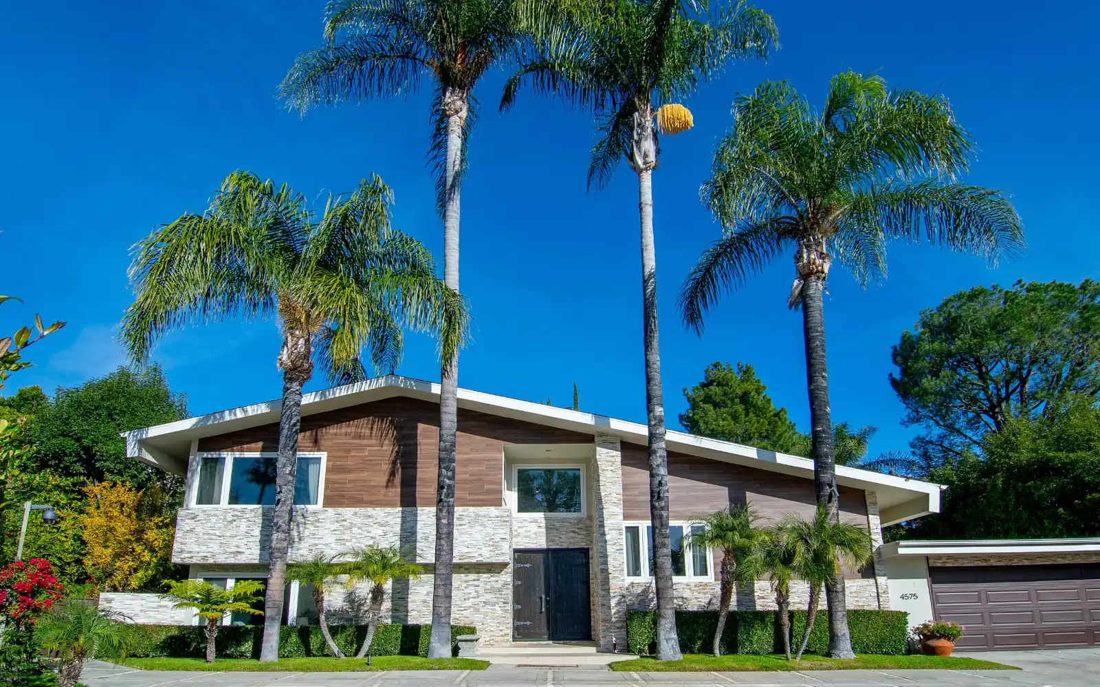 Maple Moon Recovery: Insurance, Reviews & Testimonials (Los Angeles ...