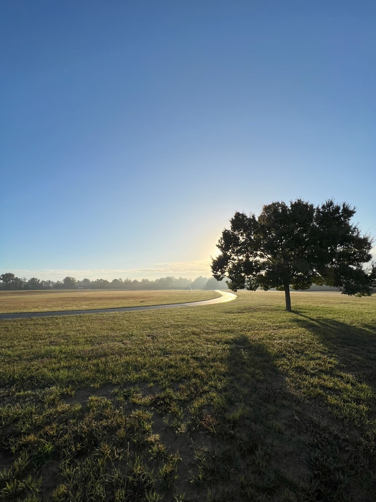 Georgia Recovery Campus: Insurance, Reviews, Testimonials (Reynolds ...