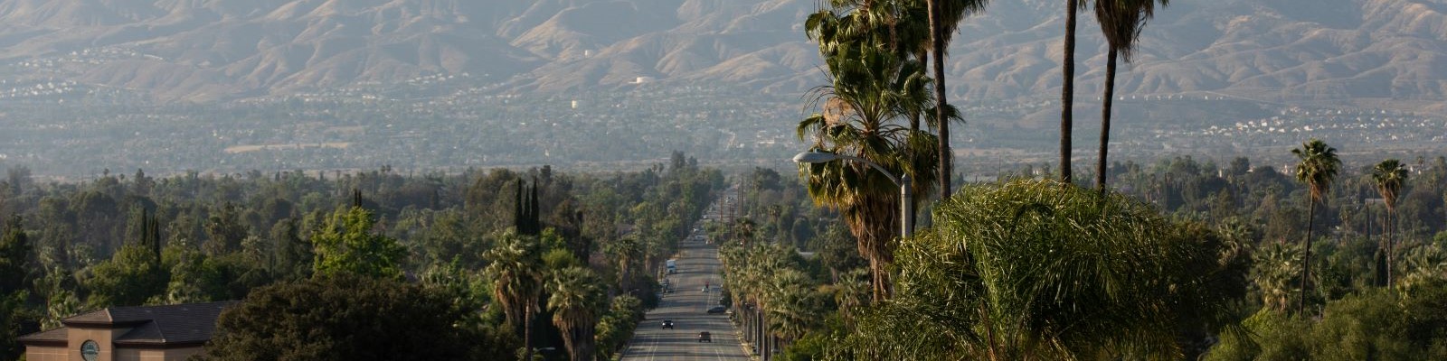 7 Best Redlands Depression Rehabs (With Pricing)