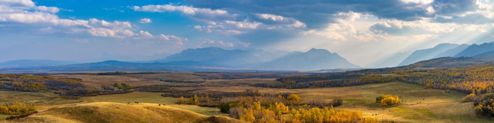 8 Best Drug & Alcohol Rehab Centres in Alberta 2025 (With Pricing)