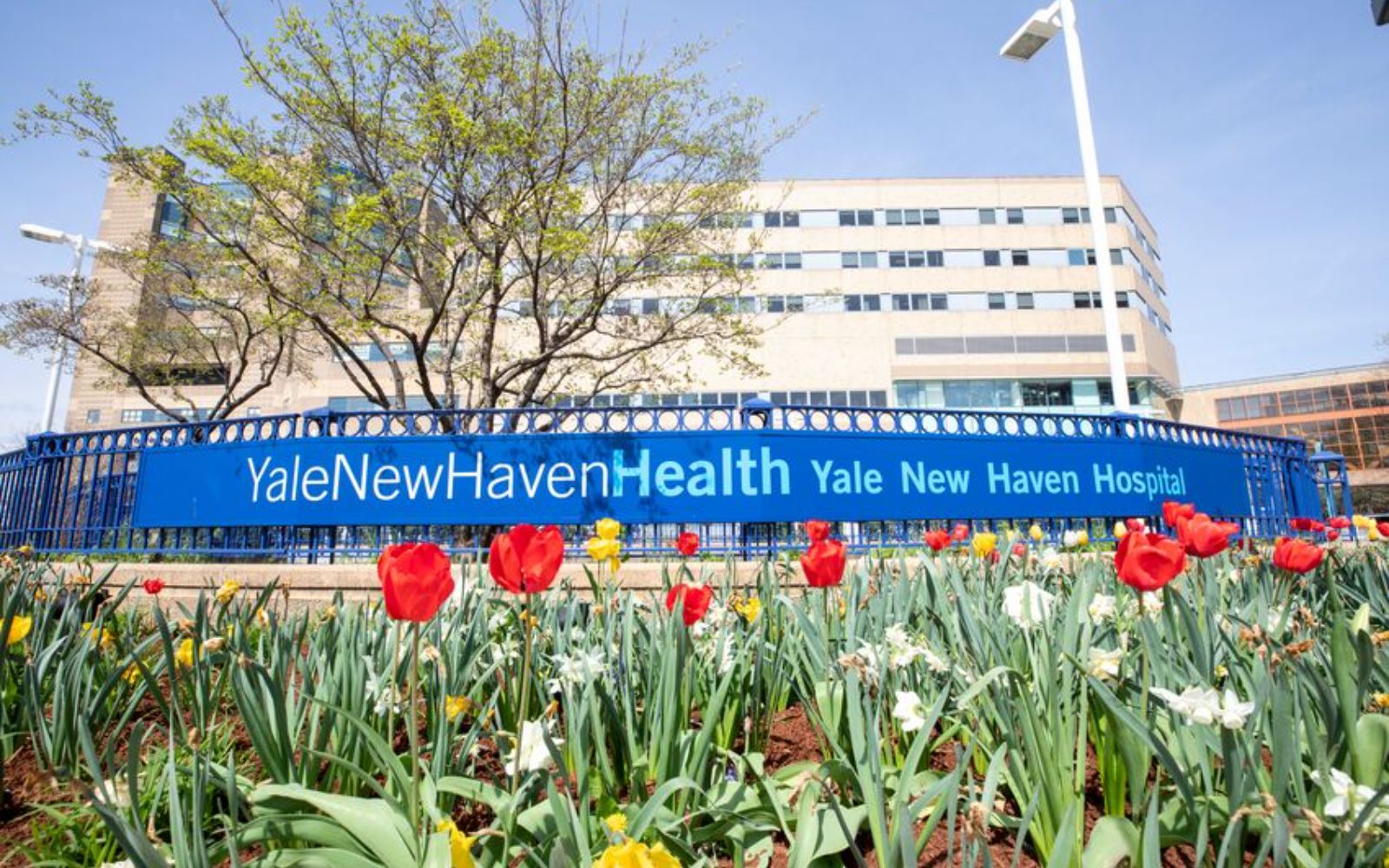 Yale New Haven Health York Street Campus: Treatment Options, Amenities ...
