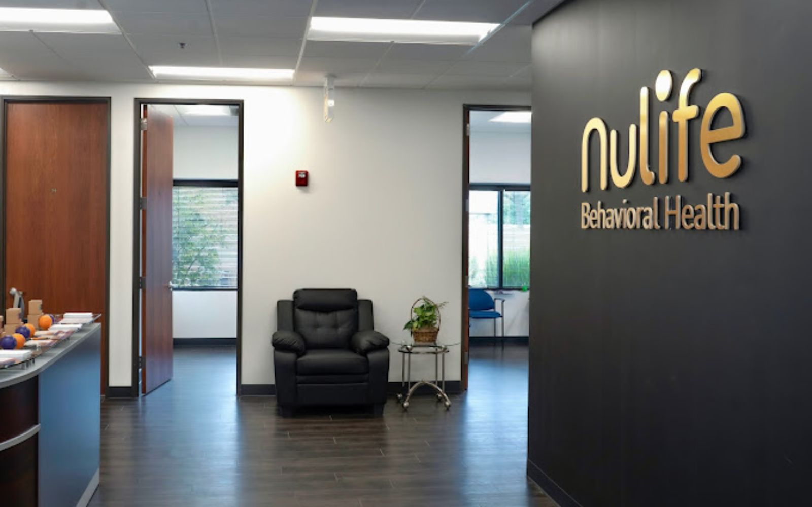 NuLife Behavioral Health Illinois: Treatment Options, Amenities ...