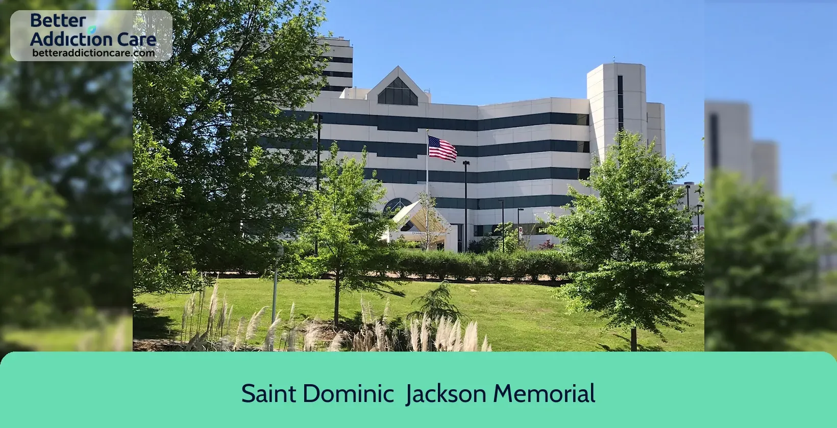 Saint Dominic/Jackson Memorial Hosp Behavioral Health Services ...