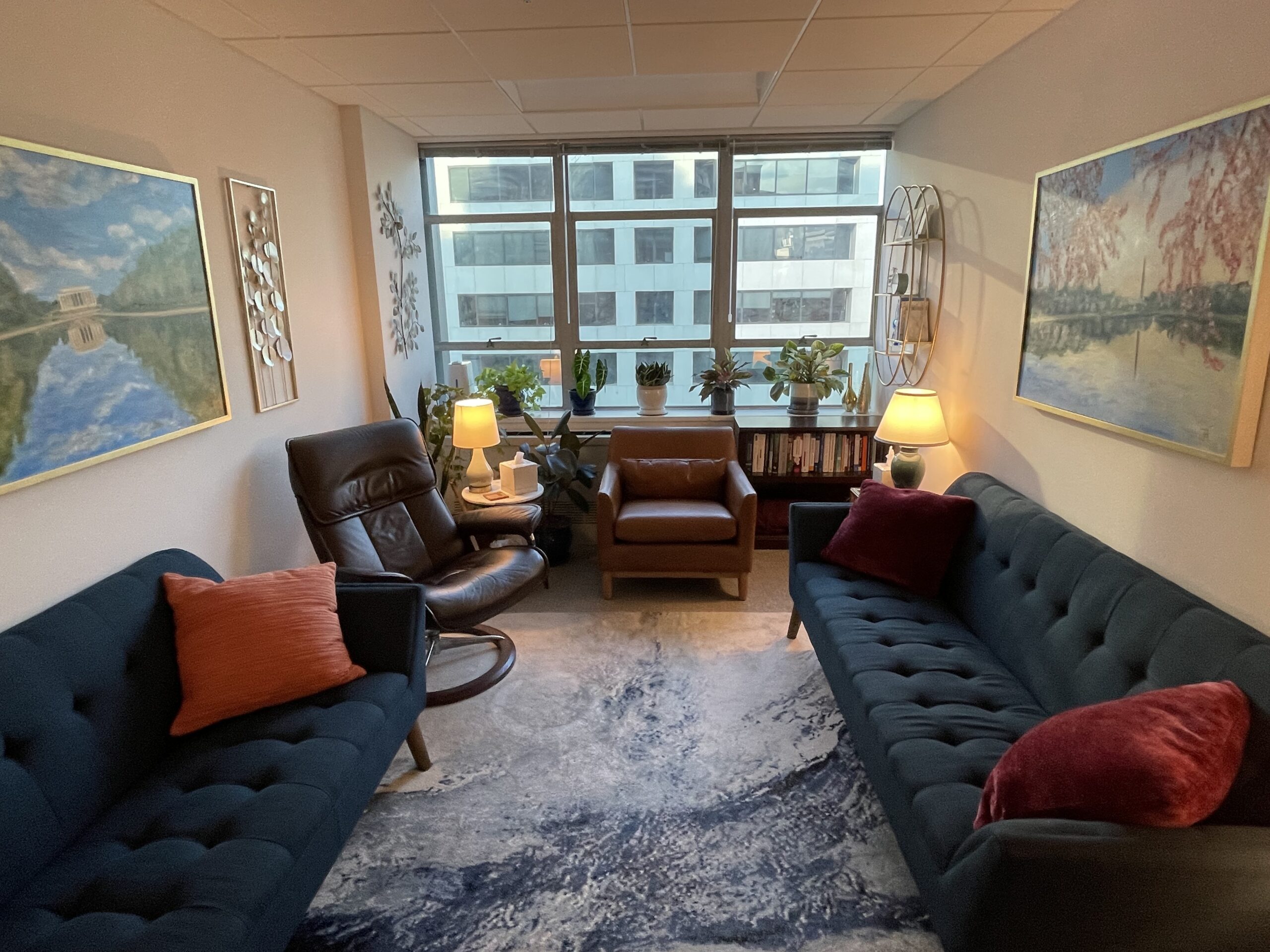 Dr. Alex Afram Clinical Psychologist: Treatment Options, Amenities ...