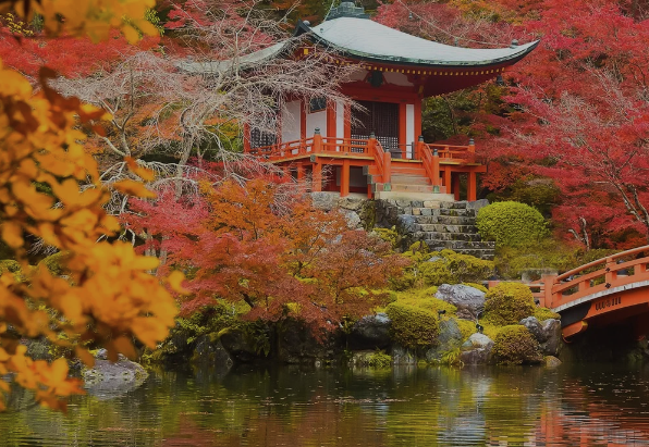 The Sanctuary Japan: Verified Pricing, Amenities & Photos (Kamakura ...