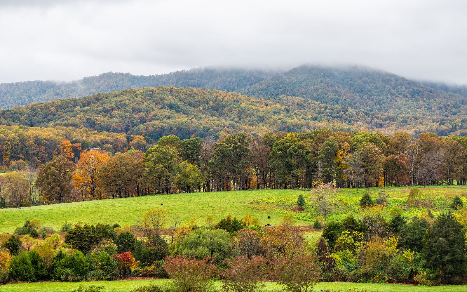 10 Best Drug & Alcohol Rehab Centers near Manakin-Sabot, VA 2026 ...