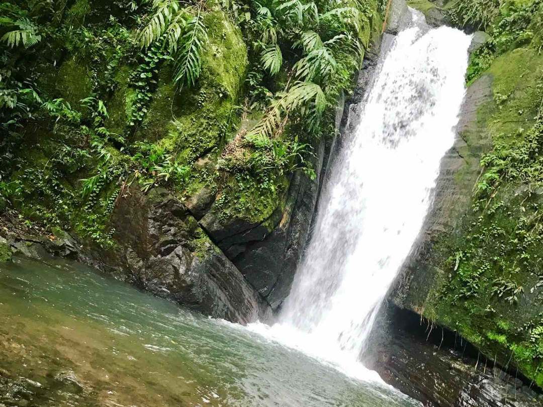 Stony Hill, St. Andrew Parish, Jamaica Little piece of haven