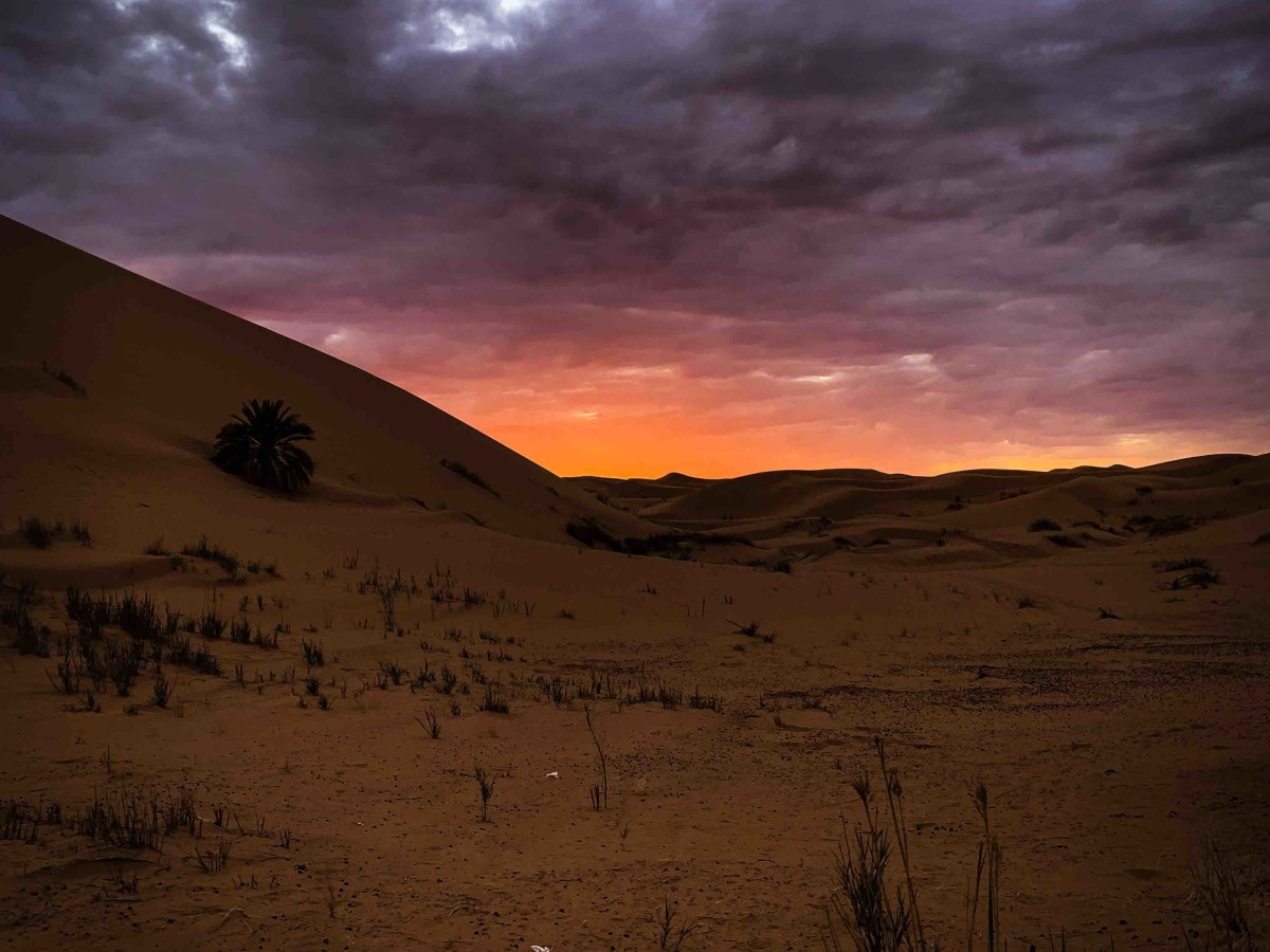 Morning In The Sahara Desert | Story | Hero Traveler