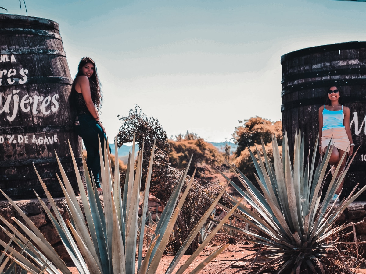 TEQUILA FACTORY | Story | Hero Traveler
