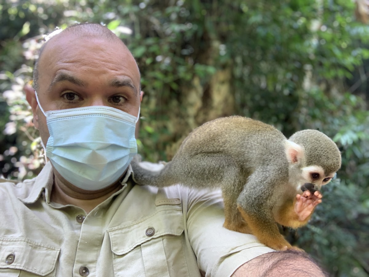 Monkey Jungle Dominican Republic | Story | Hero Traveler