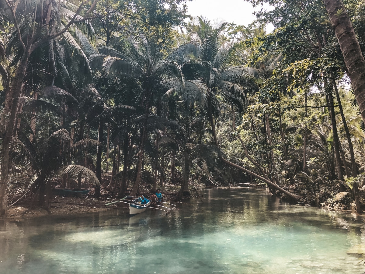 Absolute Euphoria at Kawasan Falls | Story | Hero Traveler
