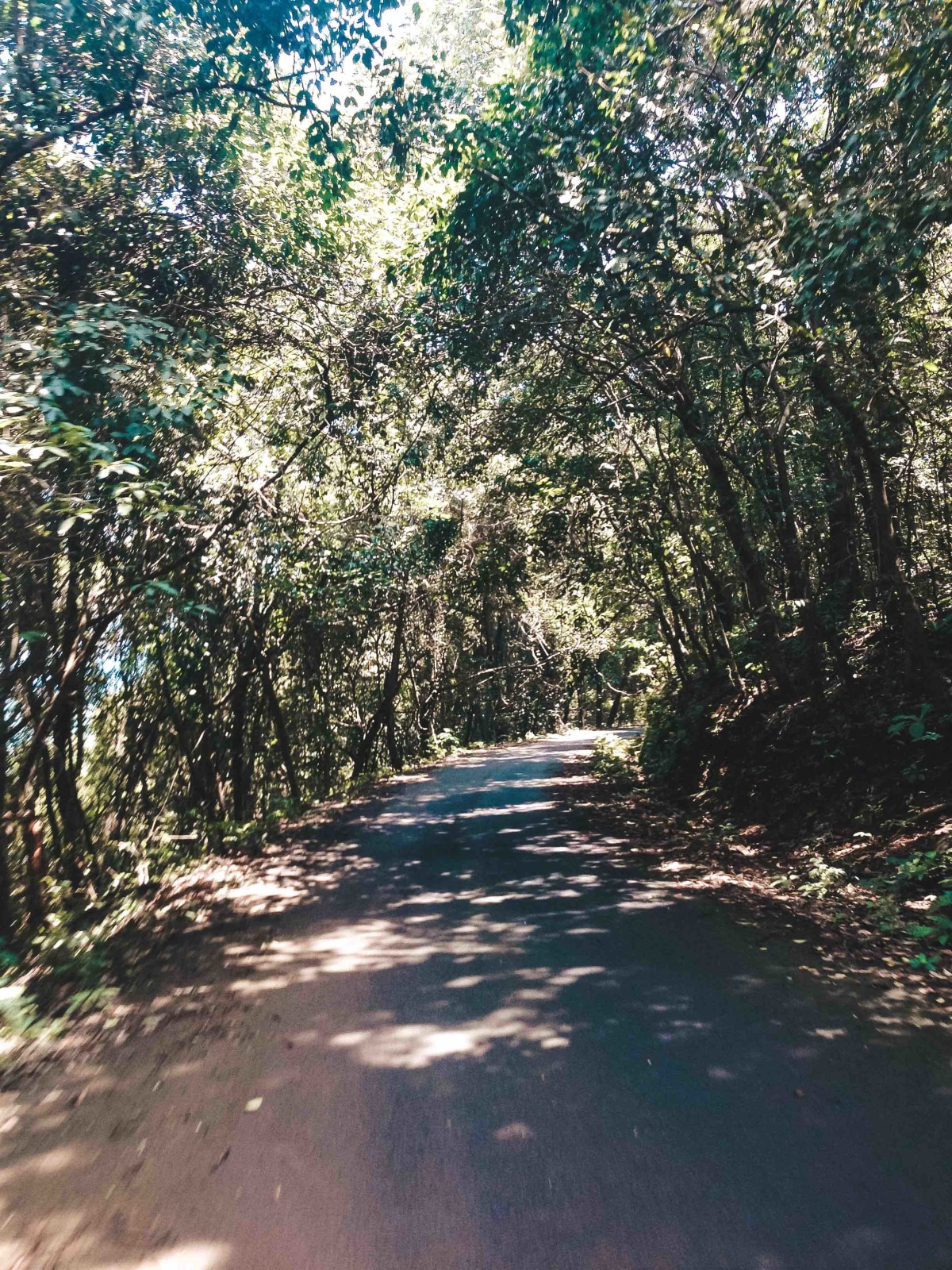 The Netravali Nature Reserve of Goa | Story | Hero Traveler
