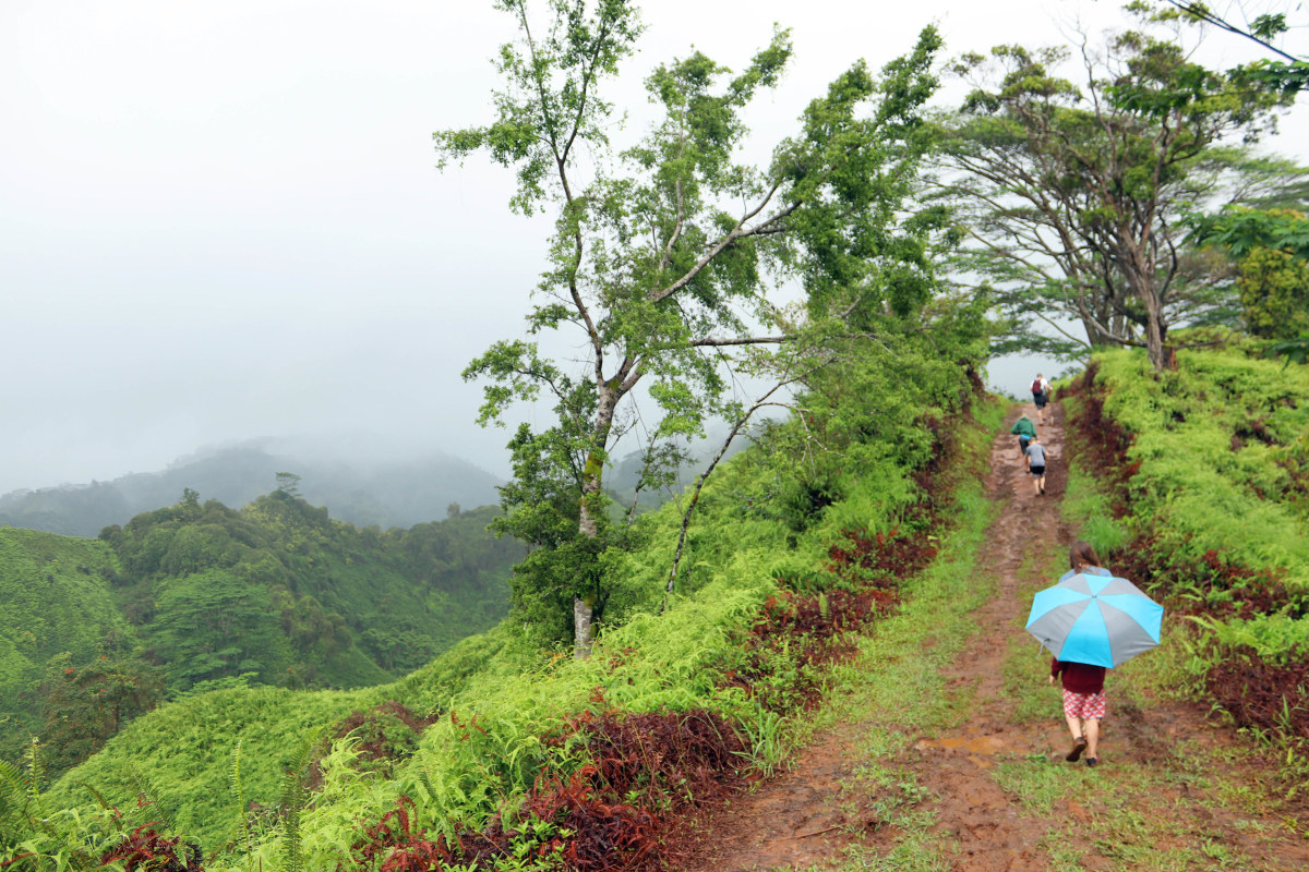 Hiking Kauai's Kuilau Ridge Trail | Story | Hero Traveler