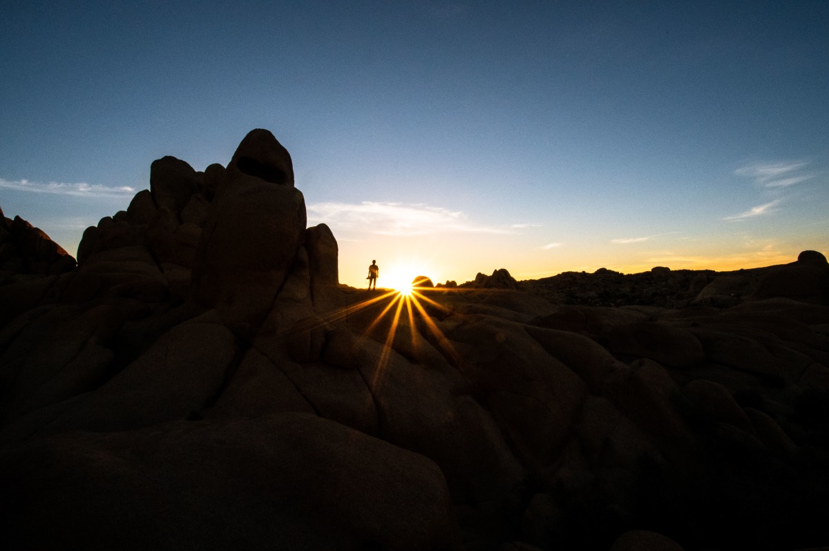Exploring Joshua Tree | Story | Hero Traveler