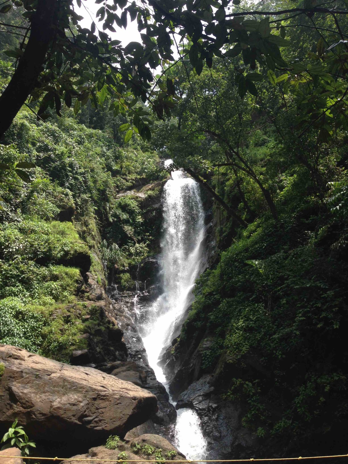 The Netravali Nature Reserve of Goa | Story | Hero Traveler