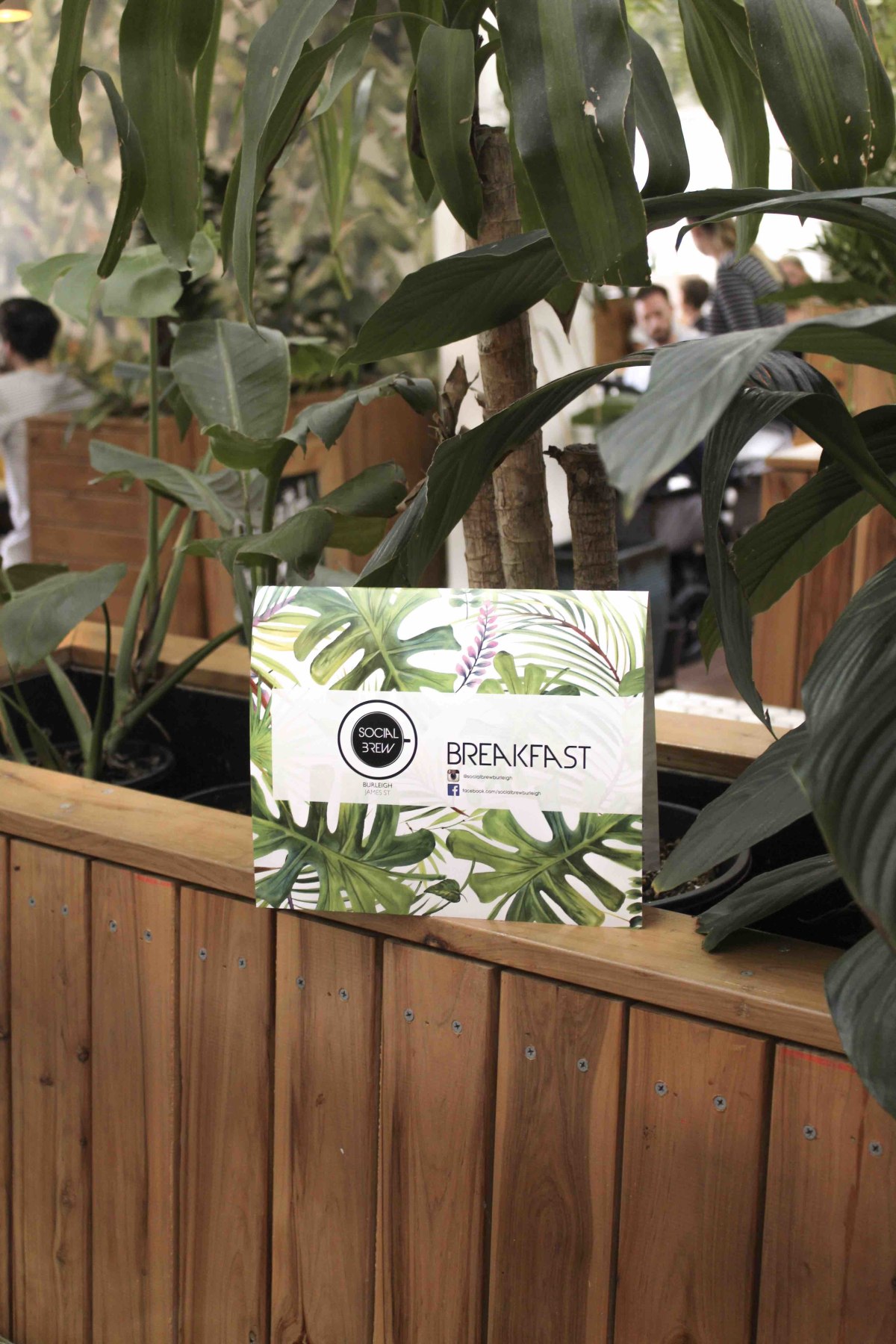 Australian Brekky at Social Brew | Story | Hero Traveler