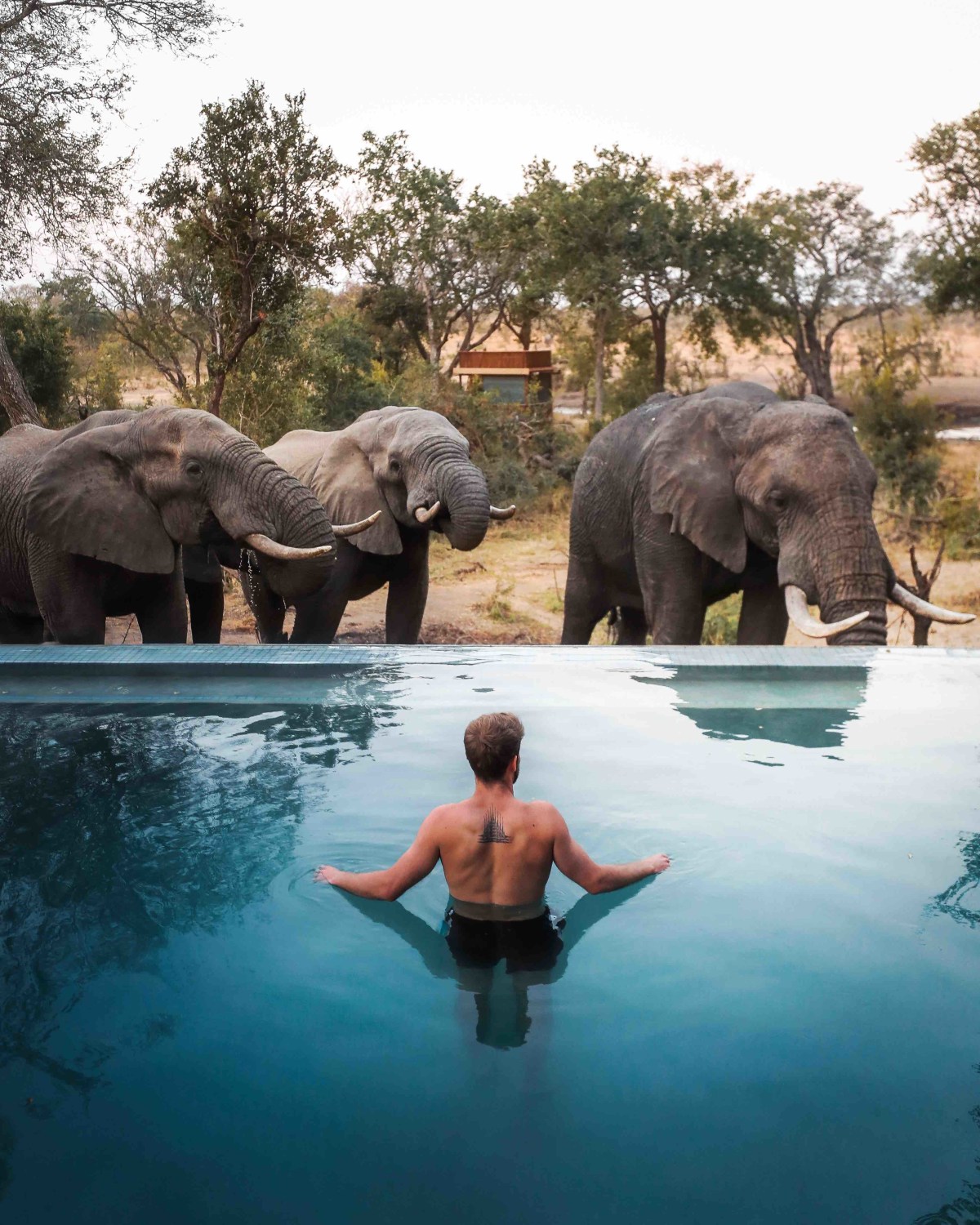 Pools & Elephants in South Africa | Story | Hero Traveler