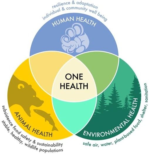 One Health: Satu Kesehatan untuk Semesta | Relatif Perspektif