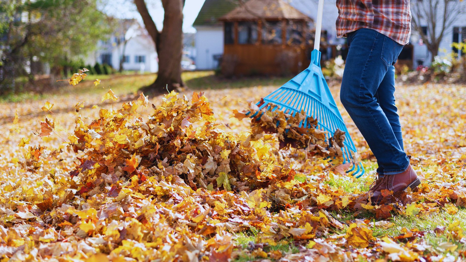 Essential Fall Home Maintenance Tips - REMAX Blog