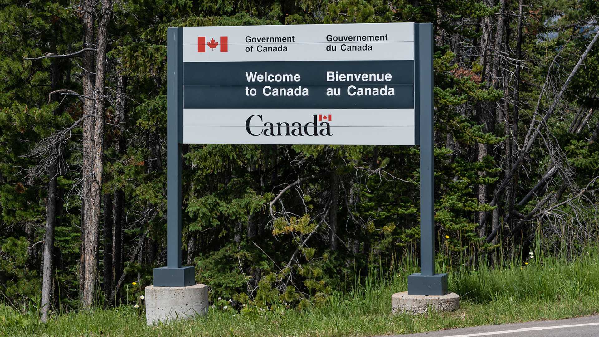 How Canada’s Record-Breaking Immigration is Affecting Commercial Real ...