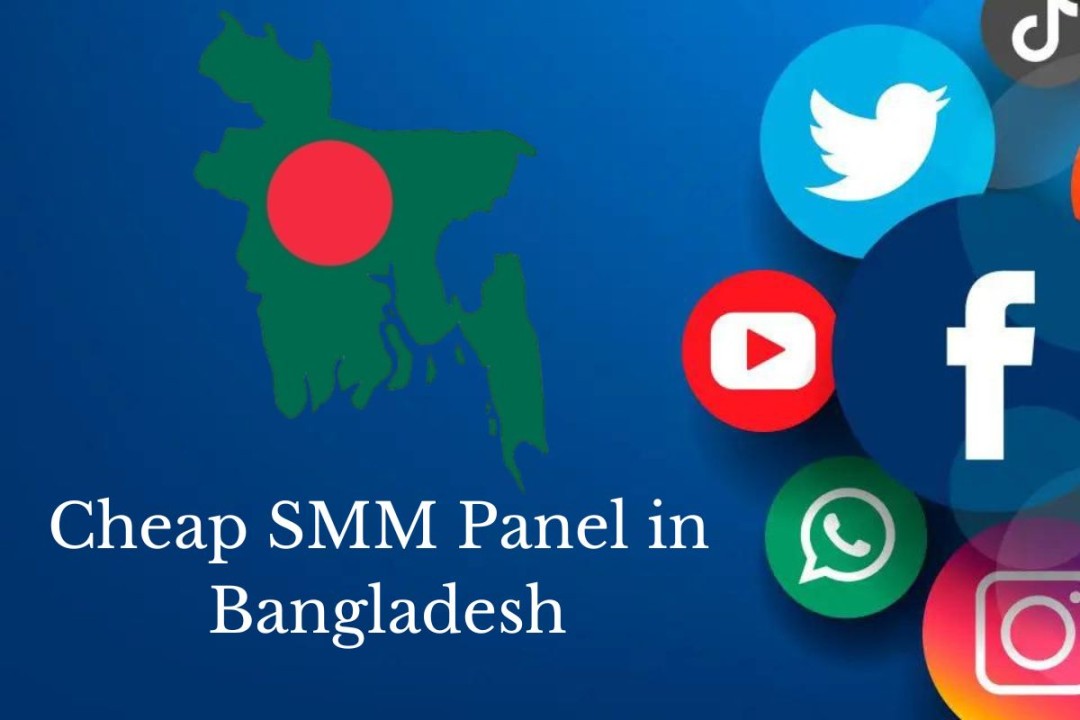 SMM Panel Bangladesh | Thebigpython.com