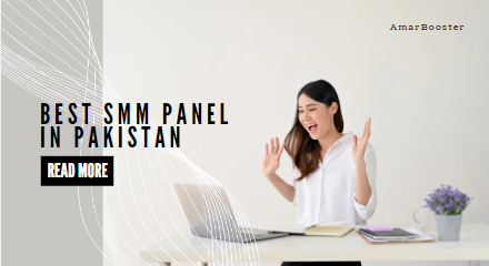 SMM Panel: Best and cheapest SMM panel in Pakistan | We Lead Pakistan SMM Panel Market