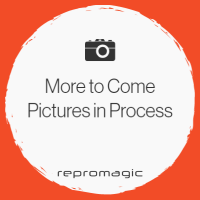 Our Team | ReproMagic