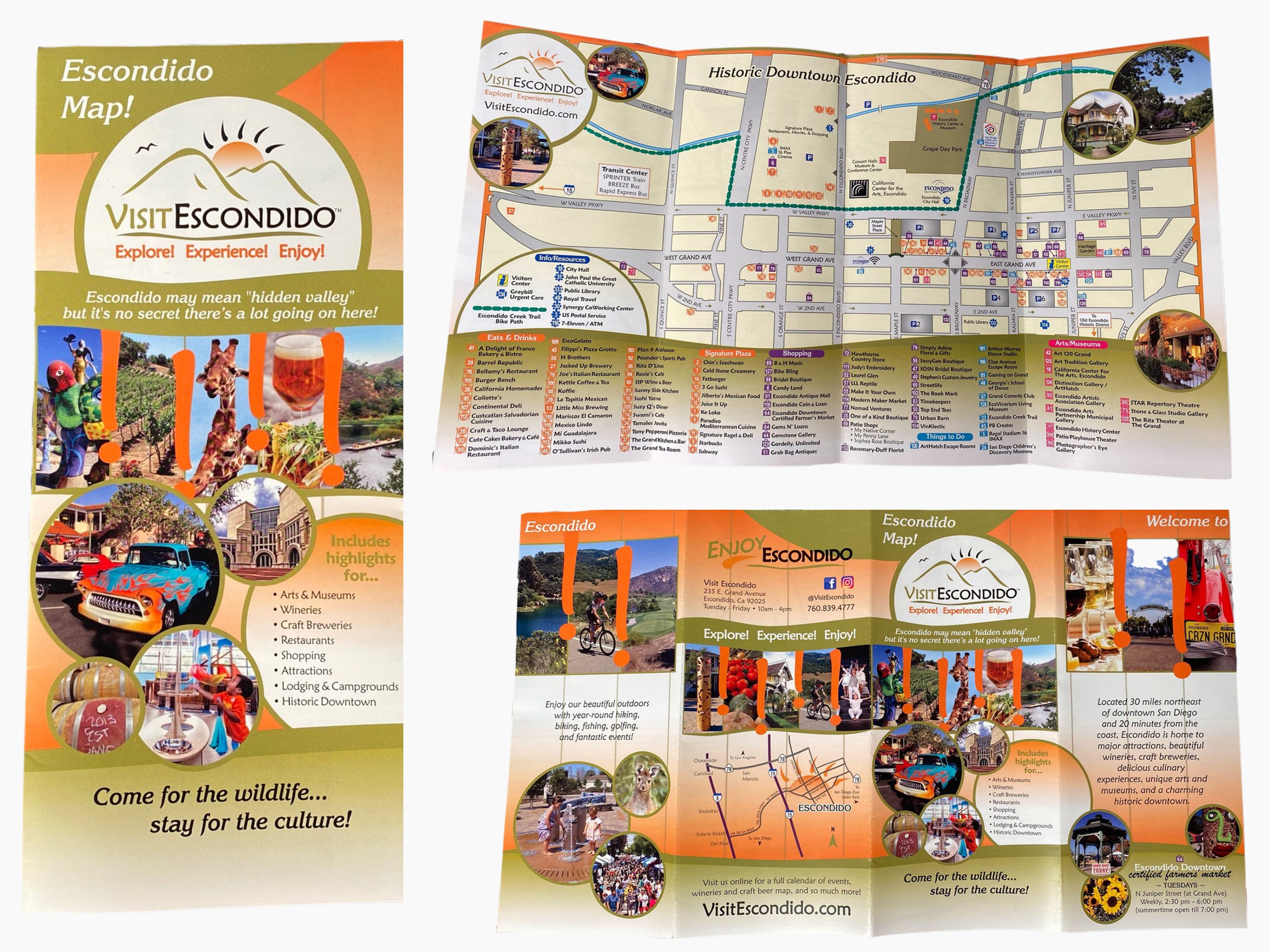 Past Projects | ReproMagic