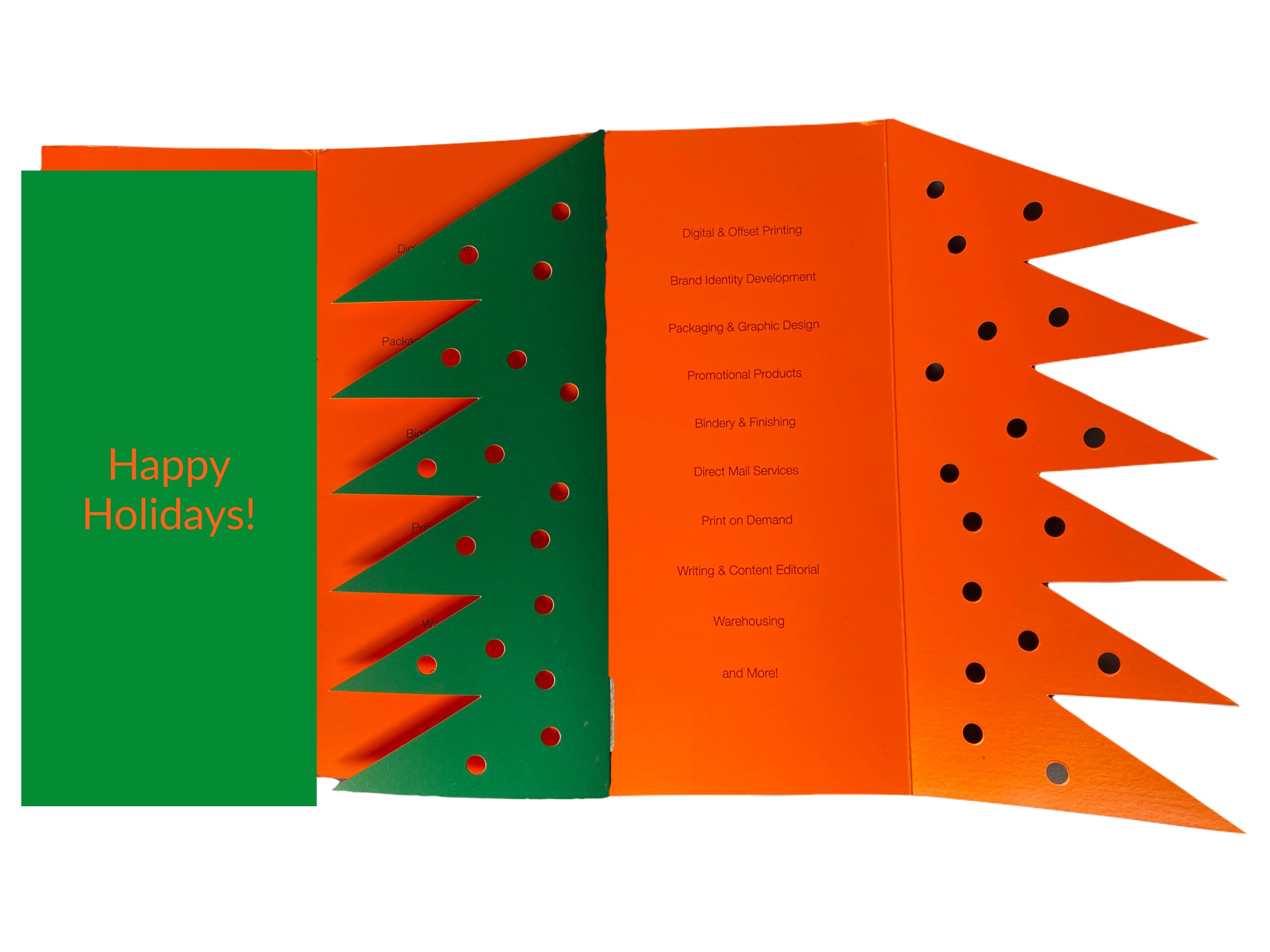 Past Projects | ReproMagic