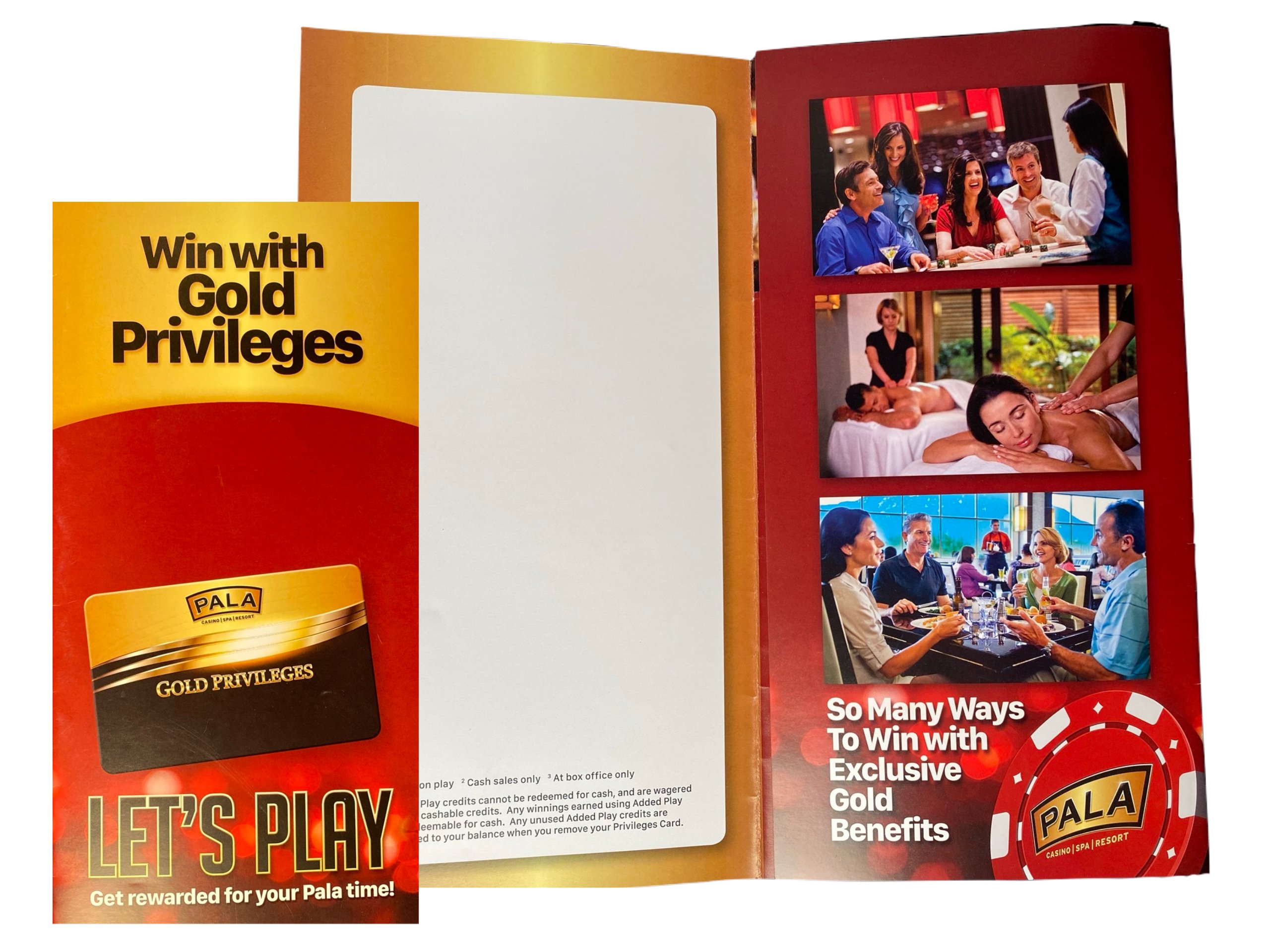 Past Projects | ReproMagic