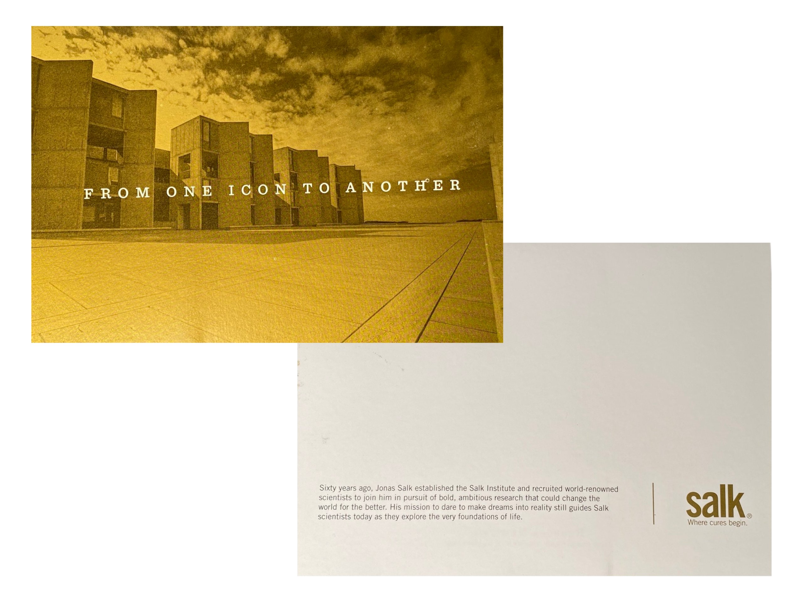 Past Projects | ReproMagic