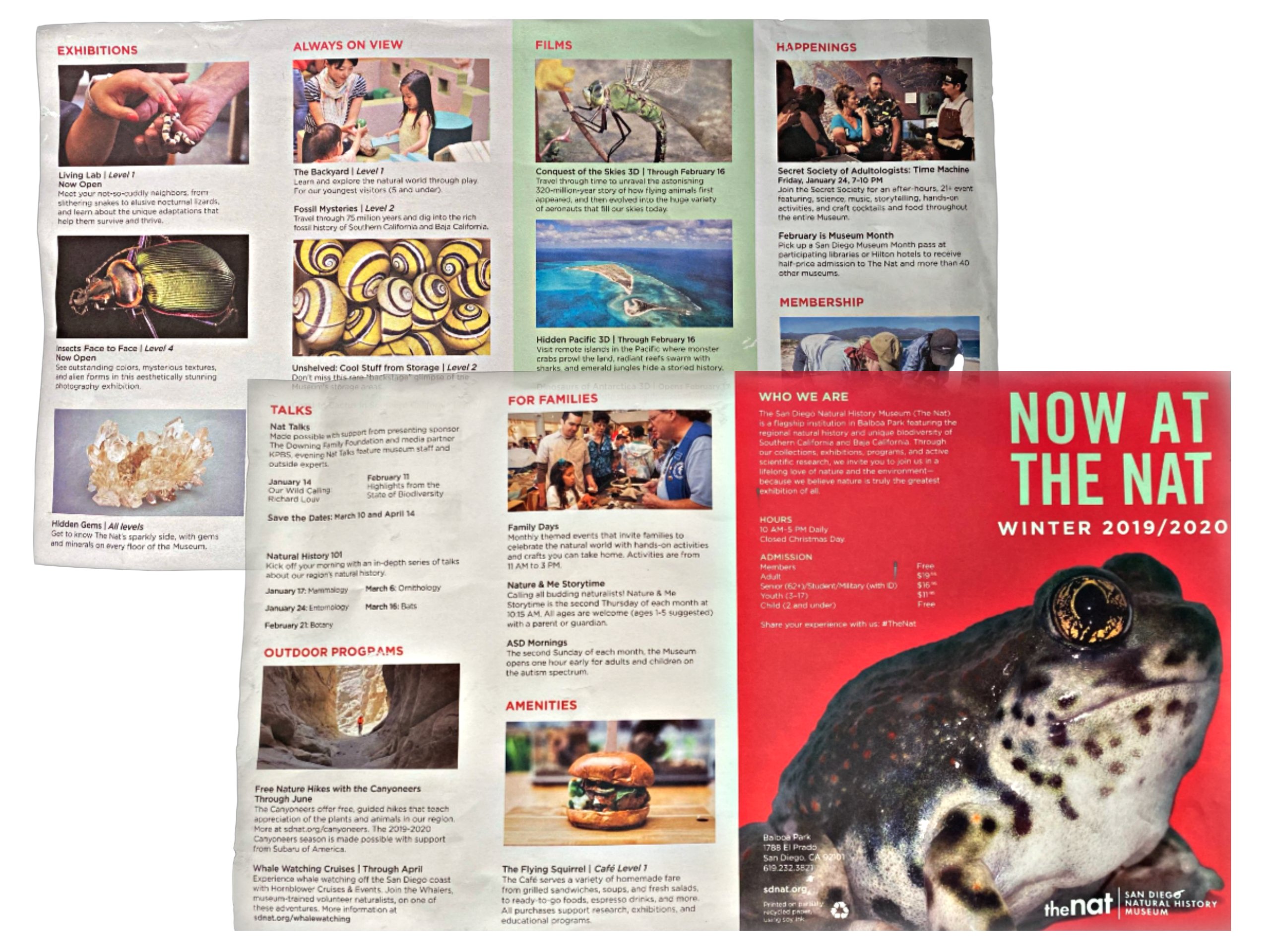 Past Projects | ReproMagic